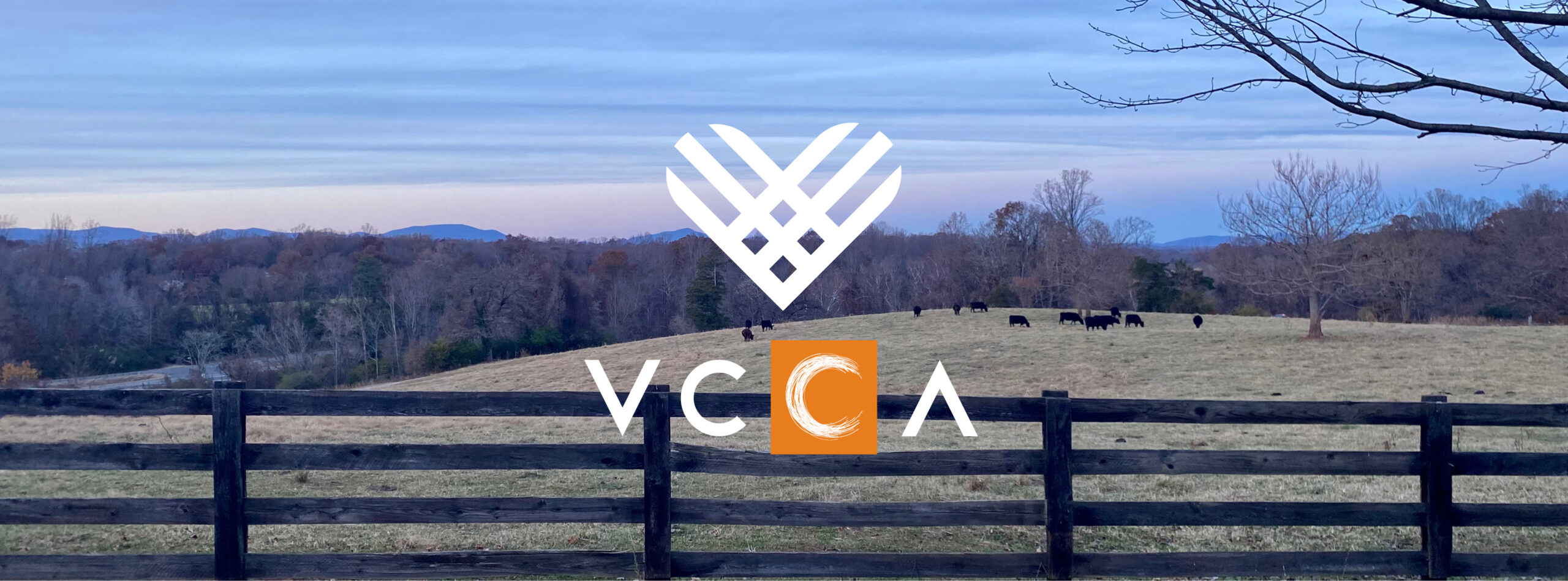 Support VCCA This GivingTuesday | VCCA