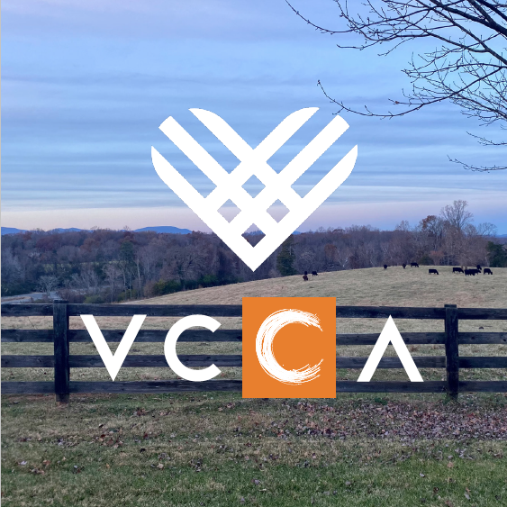 Virginia Center for the Creative Arts (VCCA)